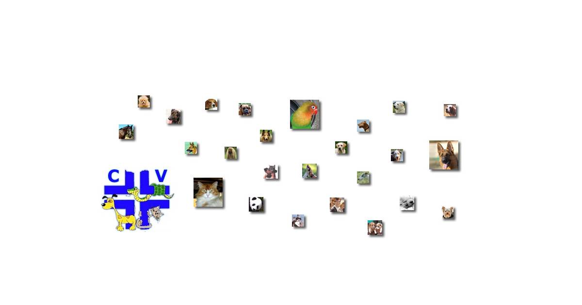 "Non ci credevo finché non è successo": il fotografo si sveglia e trova ...